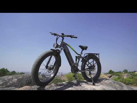 Burchda RX80 Off Road Fat Tire Ebike – 390PowerSports.com
